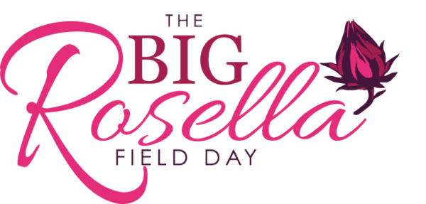 The Big Rosella Field Day | Celebrating all things Rosella! - Petersen ...